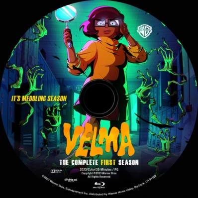 CoverCity - DVD Covers & Labels - Velma - Season 1