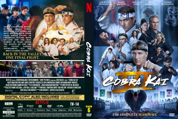 CoverCity - DVD Covers & Labels - Cobra Kai - Season 6