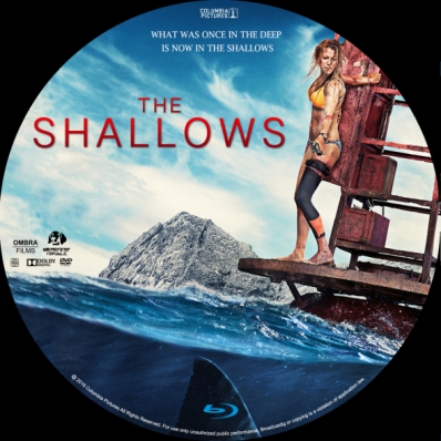 CoverCity - DVD Covers & Labels - The Shallows