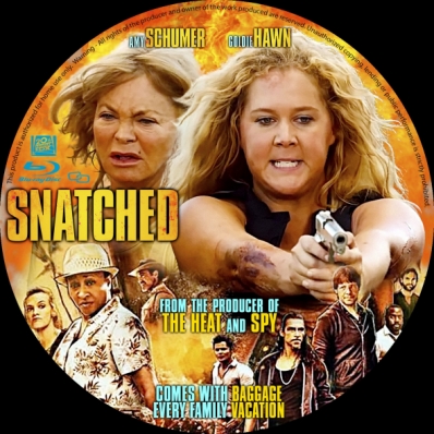 CoverCity - DVD Covers & Labels - Snatched