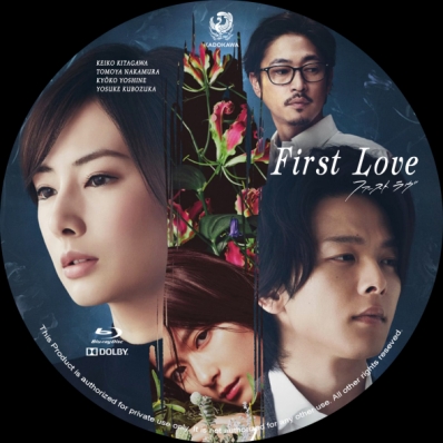 CoverCity - DVD Covers & Labels - First Love