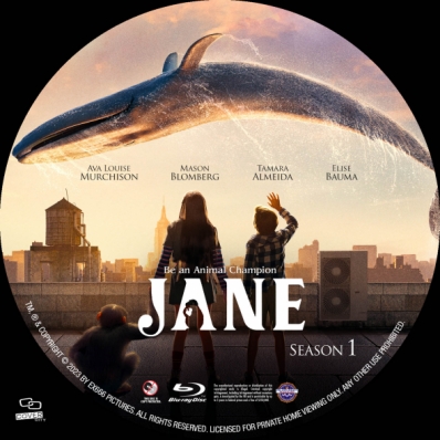 CoverCity - DVD Covers & Labels - Jane - Season 1