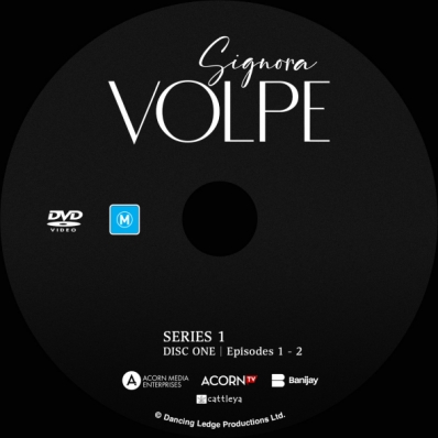 CoverCity - DVD Covers & Labels - Signora Volpe - Season 1; disc 1