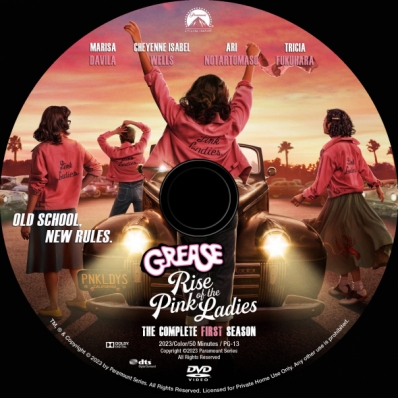 CoverCity - DVD Covers & Labels - Grease: Rise of the Pink Ladies ...
