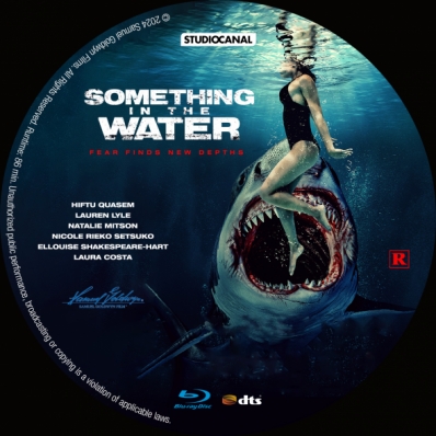 CoverCity - DVD Covers & Labels - Something in the Water