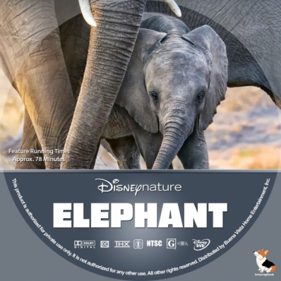 CoverCity - DVD Covers & Labels - Elephant