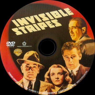 CoverCity - DVD Covers & Labels - Invisible Stripes