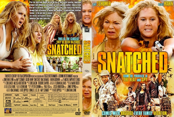 CoverCity - DVD Covers & Labels - Snatched