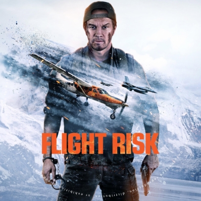 CoverCity - DVD Covers & Labels - Flight Risk