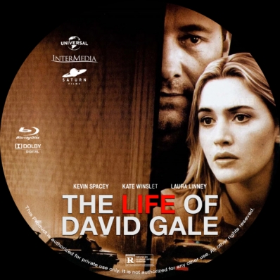 CoverCity - DVD Covers & Labels - The Life of David Gale