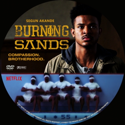 CoverCity - DVD Covers & Labels - Burning Sands