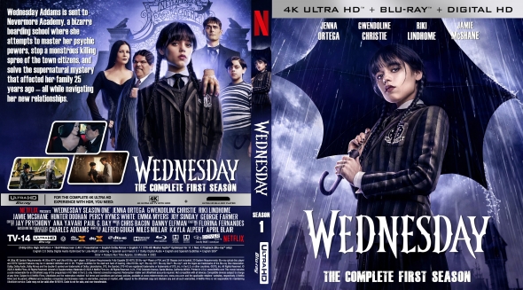 CoverCity - DVD Covers & Labels - Wednesday 4K - Season 1