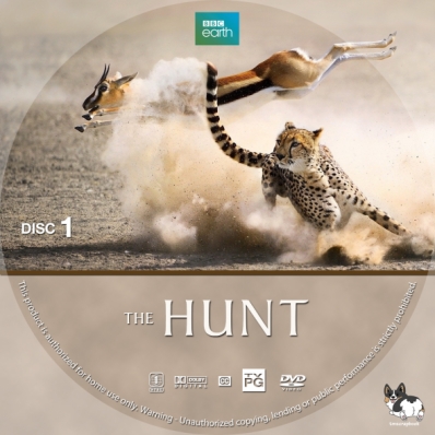 CoverCity - DVD Covers & Labels - The Hunt - Disc 1