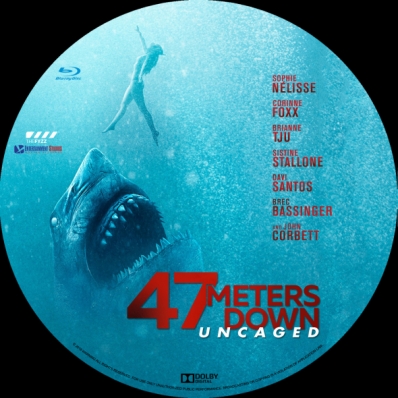 CoverCity - DVD Covers & Labels - 47 Meters Down: Uncaged