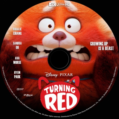 CoverCity - DVD Covers & Labels - Turning Red 4K