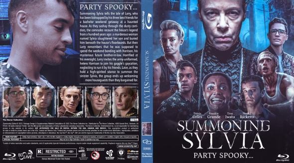CoverCity - DVD Covers & Labels - Summoning Sylvia
