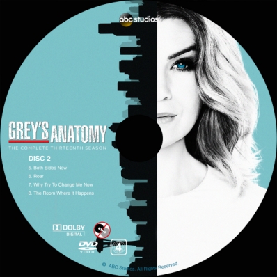 CoverCity - DVD Covers & Labels - Grey's Anatomy - Season 13; disc 2