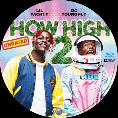CoverCity - DVD Covers & Labels - How High 2