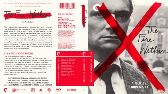 CoverCity - DVD Covers & Labels - The Fire Within