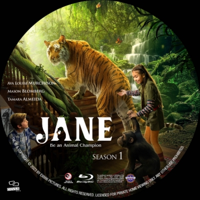 CoverCity - DVD Covers & Labels - Jane - Season 1