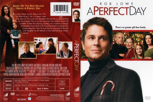 CoverCity - DVD Covers & Labels - A Perfect Day
