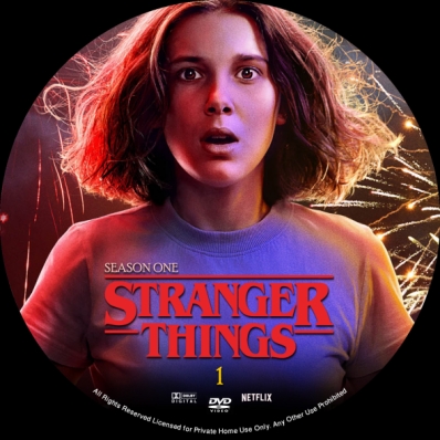 CoverCity - DVD Covers & Labels - Stranger Things - Season 1; disc 1