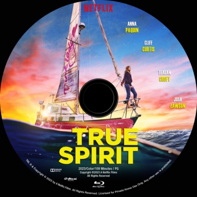 CoverCity - DVD Covers & Labels - True Spirit