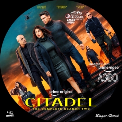 CoverCity - DVD Covers & Labels - Citadel - Season 2