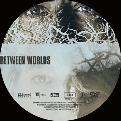 CoverCity - DVD Covers & Labels - Between Worlds