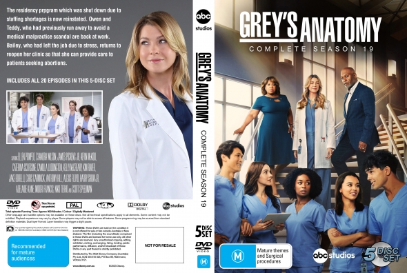 CoverCity - DVD Covers & Labels - Grey's Anatomy - Season 19