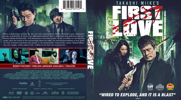CoverCity - DVD Covers & Labels - First Love