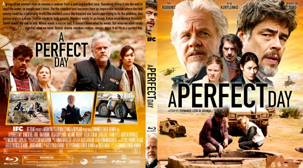 CoverCity - DVD Covers & Labels - A Perfect Day