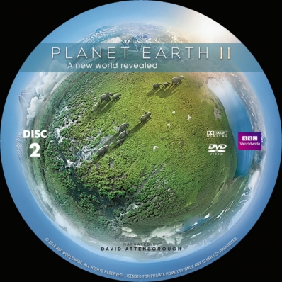 CoverCity - DVD Covers & Labels - Planet Earth II - disc 2