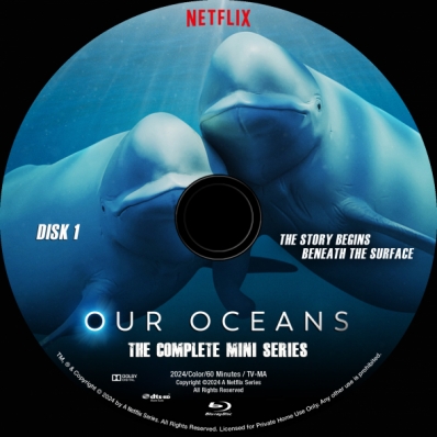 CoverCity - DVD Covers & Labels - Our Oceans - Mini Series; disk 1