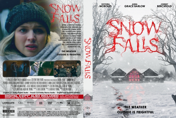CoverCity - DVD Covers & Labels - Snow Falls
