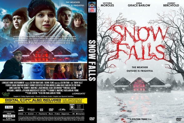 CoverCity - DVD Covers & Labels - Snow Falls