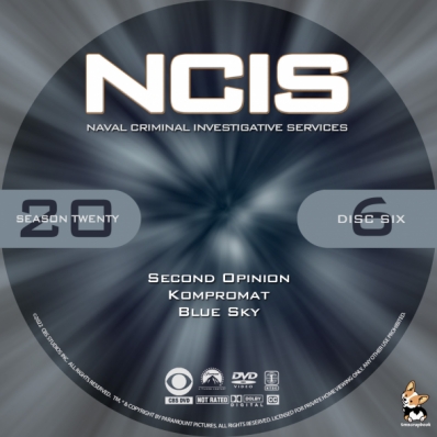 CoverCity - DVD Covers & Labels - NCIS - Season 20, Disc 6