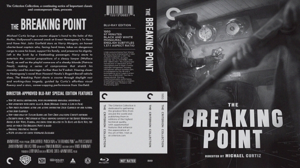 CoverCity - DVD Covers & Labels - The Breaking Point
