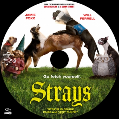 CoverCity - DVD Covers & Labels - Strays