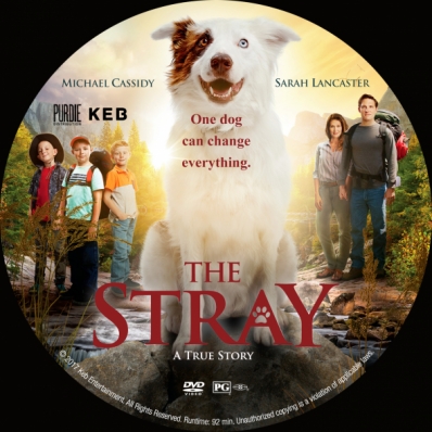 CoverCity - DVD Covers & Labels - The Stray