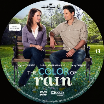 CoverCity - DVD Covers & Labels - The Color of Rain