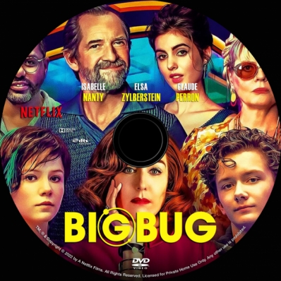 CoverCity - DVD Covers & Labels - Big Bug