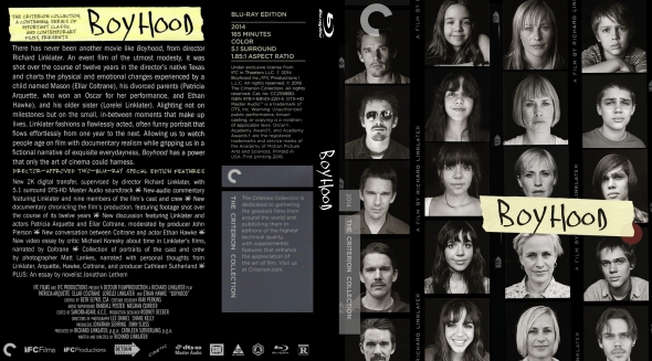 CoverCity - DVD Covers & Labels - Boyhood