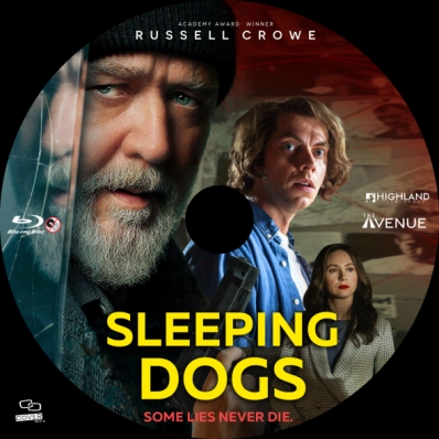 CoverCity - DVD Covers & Labels - Sleeping Dogs