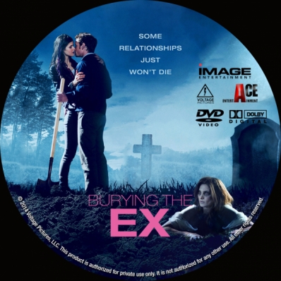 CoverCity - DVD Covers & Labels - Burying The Ex