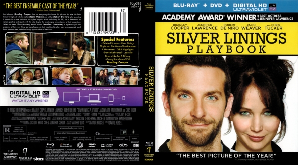 CoverCity - DVD Covers & Labels - Silver Linings Playbook