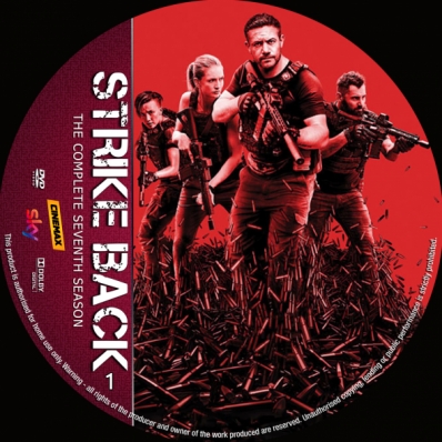 CoverCity - DVD Covers & Labels - Strike Back - Season 7; disc 1