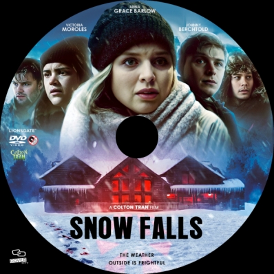 CoverCity - DVD Covers & Labels - Snow Falls