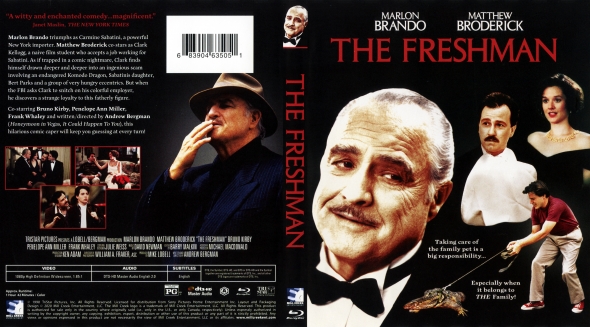 CoverCity - DVD Covers & Labels - The Freshman