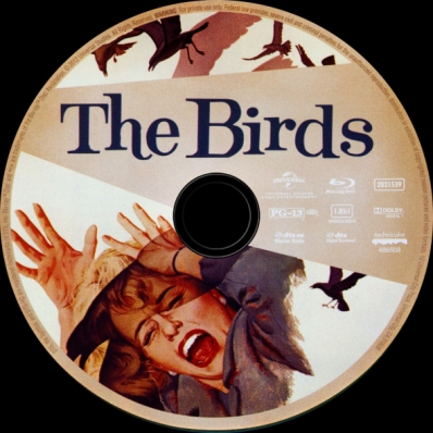 CoverCity - DVD Covers & Labels - The Birds